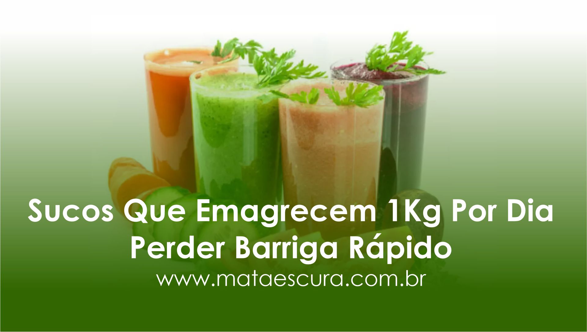 Sucos Que Emagrecem 1kg Por Dia Perder Barriga Rápido